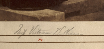 Victoria Windsor-Clive - Saint Louis Art Museum