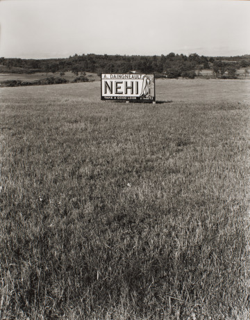 Nehi - in the Field - Saint Louis Art Museum