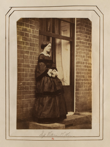 Victoria Windsor-Clive - Saint Louis Art Museum