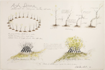 Ash Dome - Saint Louis Art Museum