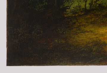 Wood Interior - Saint Louis Art Museum