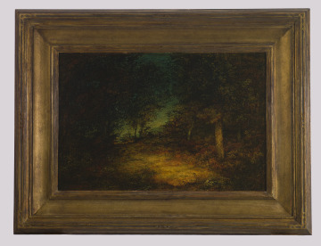 Wood Interior - Saint Louis Art Museum