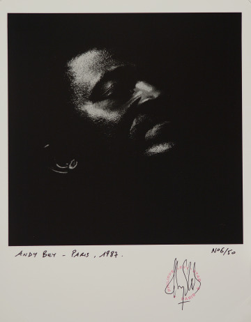 Andy Bey - Paris - Saint Louis Art Museum