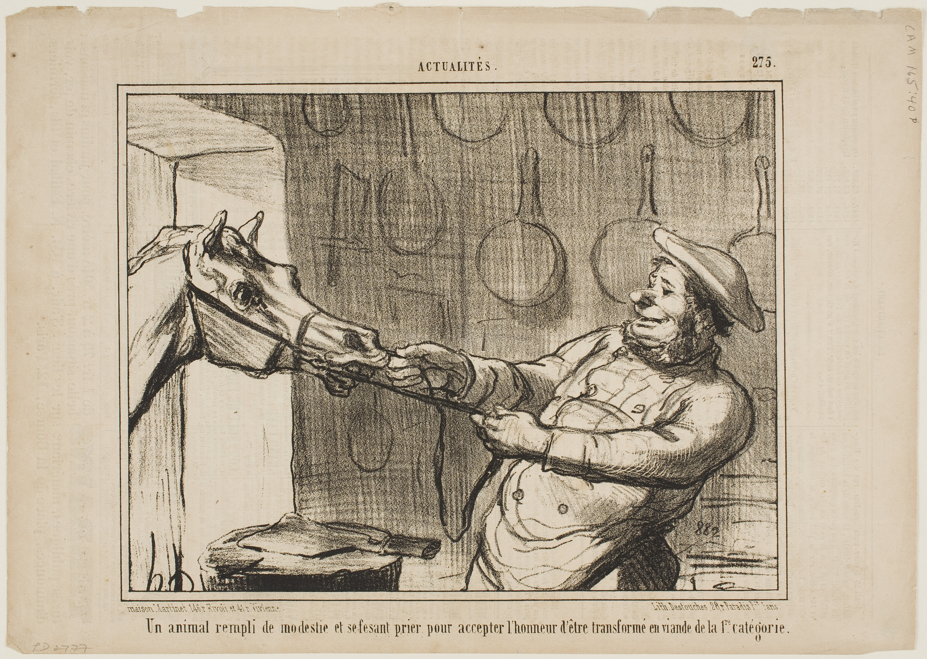 An animal of modest character... - Saint Louis Art Museum