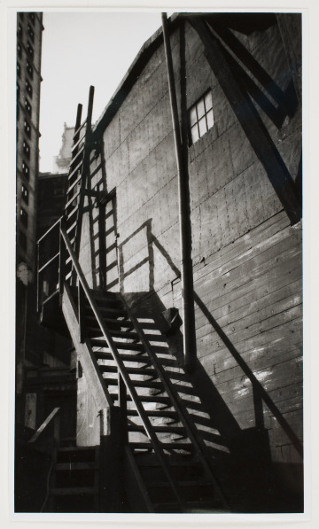 Wooden stair, exterior of building - Saint Louis Art Museum