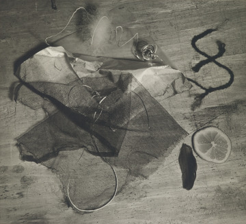 Homage to Rimbaud or Ophelia - Saint Louis Art Museum