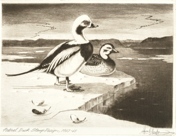 Old Squaw Ducks - Saint Louis Art Museum