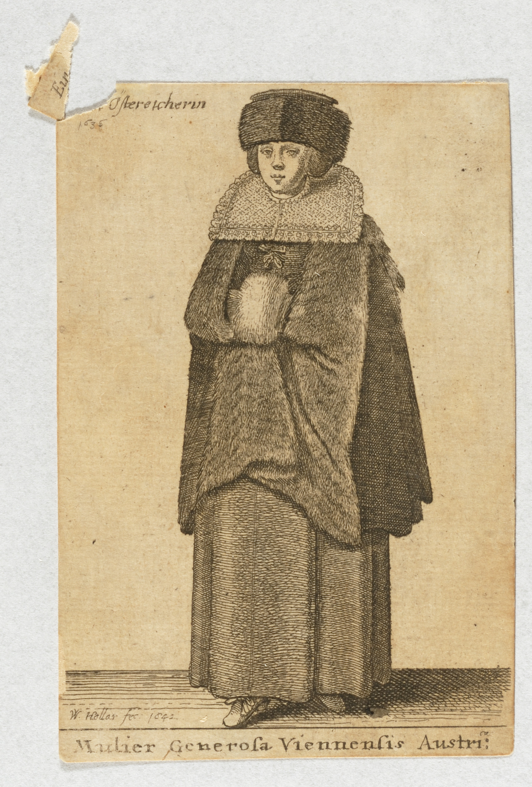 A Generous Woman of Vienna in Austria, from the series "Aula Veneris ...