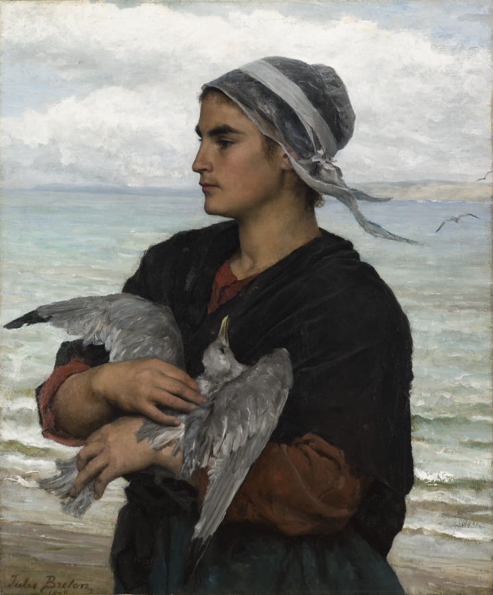 New on View - Saint Louis Art Museum